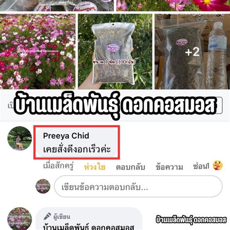 ขอบคุณสำหรับรีวิวนะคะ บ้านเมล็ดพันธุ์ ดอกคอสมอส