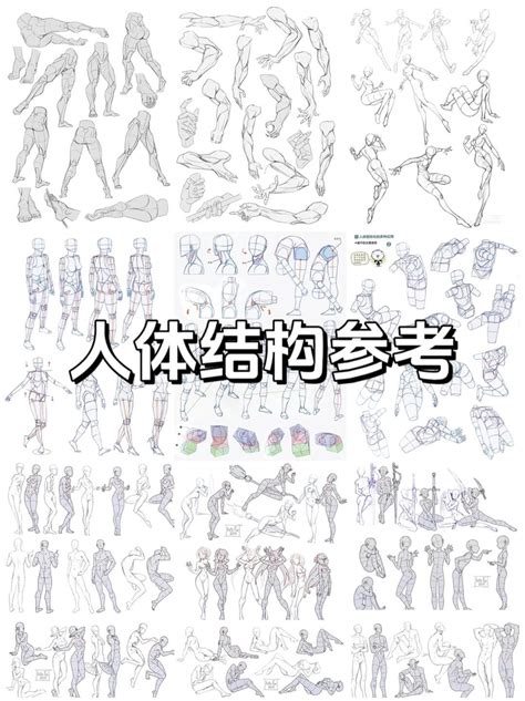 【板绘控笔训练教程】超全控笔训练素材合集！萌新小白必备！ 哔哩哔哩