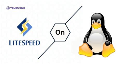 How To Install Litespeed On A Linux Server