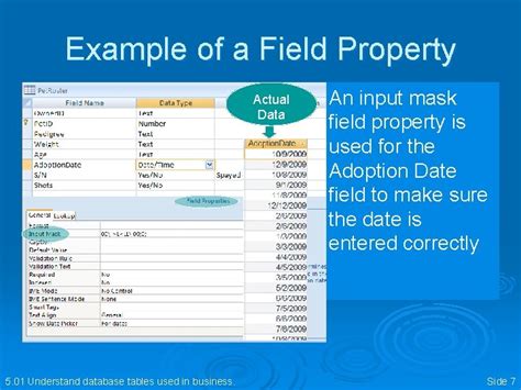 data types and field properties data types and