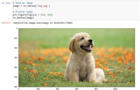 Image Processing With Scikit Image Nomidl