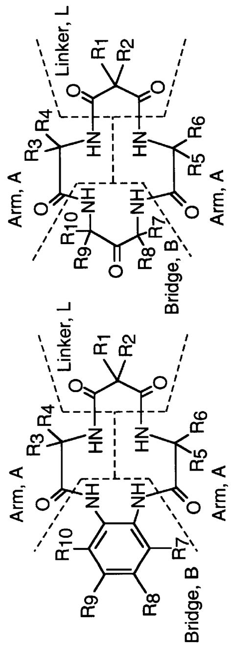 Synthesis Of Macrocyclic Tetraamido N Ligands Eureka Patsnap