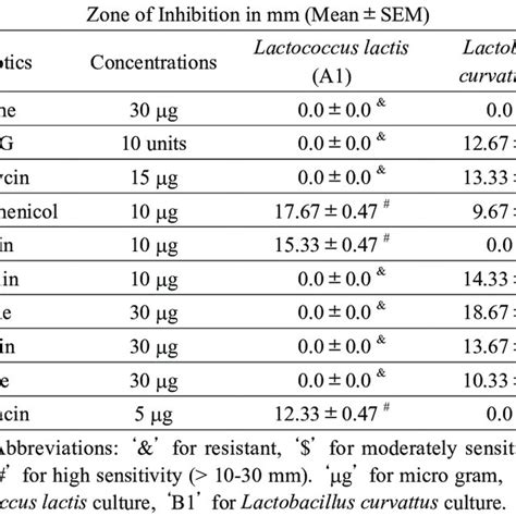 Antibiogram Analysis Of Lactococcus Lactis And Lactobacillus Curvattus Download Scientific