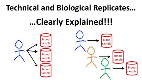 The Difference Between Technical And Biological Replicates Youtube