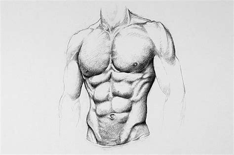 How To Draw Six Pack Openingkind