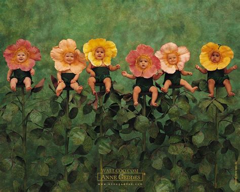 Anne Geddes Wallpapers Wallpaper Cave