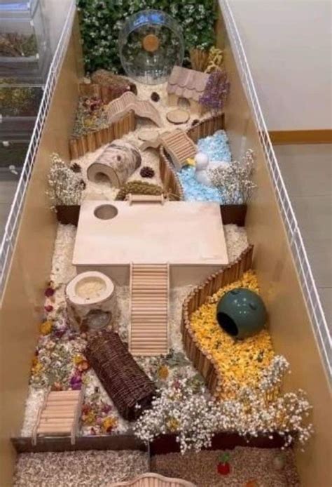 Pin Von Autumn Quas Auf Teagan In 2025 Hamster Ideen Hamster Gehege