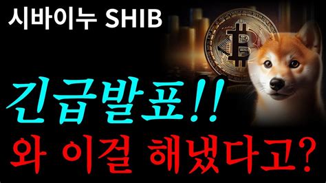 시바이누 코인 긴급 발표 와 이걸 해냈다고 역시 밈코인인가 Youtube