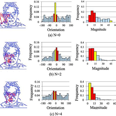 Histograms Of Displacement Magnitude And Orientation At Different