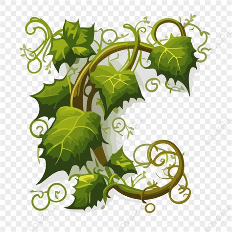 덩굴 클립 아트와 장식 문자 C 벡터문자 T상표 Png 일러스트 무료 다운로드 Lovepik
