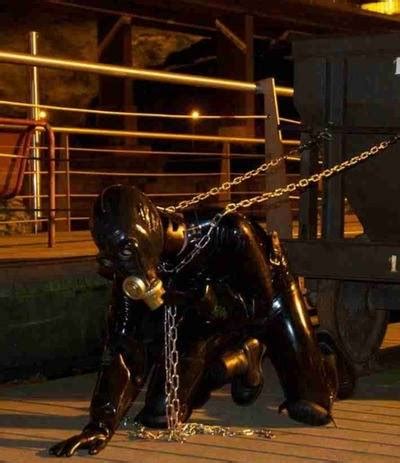 A BLAST Of Puppy Play Ruff S Stuff Blog