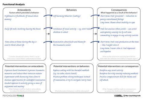 Functional Analysis With Intervention Planning Functional Analysis