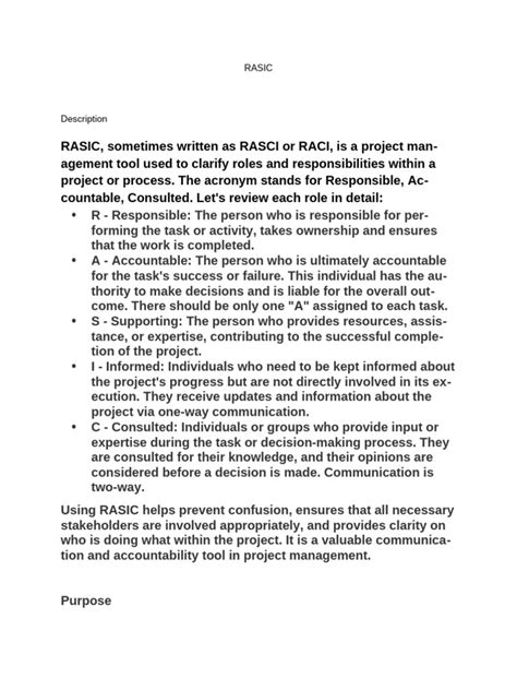 Rasic Rules Pdf Risk Risk Management