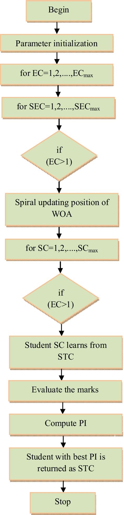 Flowchart Of The Proposed W Cto Download Scientific Diagram