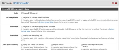 Host Overrides Are Not Resolving Used To Netgate Forum