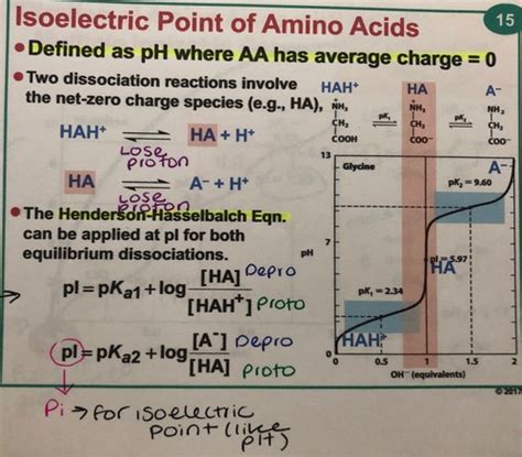 Biochem Lecture 4 Flashcards Quizlet