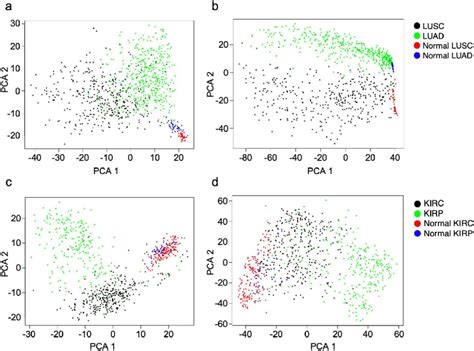 Principal Component Analysis Pca Plots Show The Ability To Cluster Download Scientific