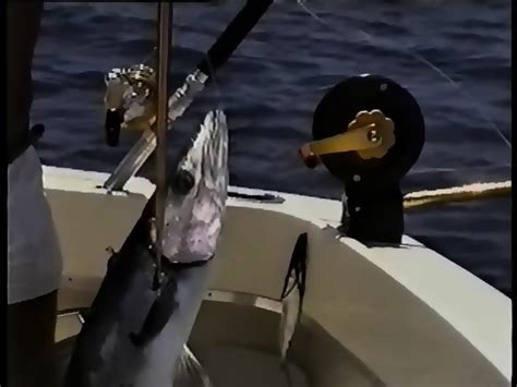 Danni Ashe Big Tits Show Eporner