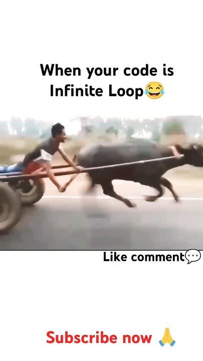 Infinite Loop😂😂😂codingshorts Funny Programming Trandingmemes Youtube