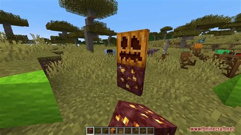 Framed Blocks Mod 1 19 2 1 18 2 Fancy Building Blocks Mc Mod Net