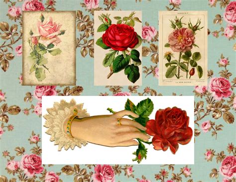 Fotos Flores Vintage Imagui