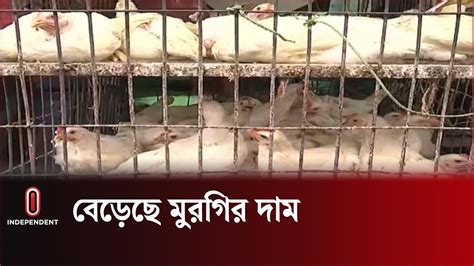 প্রতি কেজি ব্রয়লার মুরগি বিক্রি হচ্ছে ২৫০ থেকে ২৬০ টাকায় Chicken Price Independent Tv