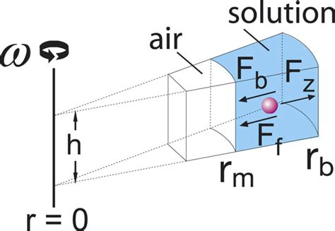 Analytical Ultracentrifugation Auc