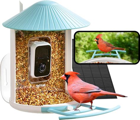 netvue birdfy® smart bird feeder camera bird watching