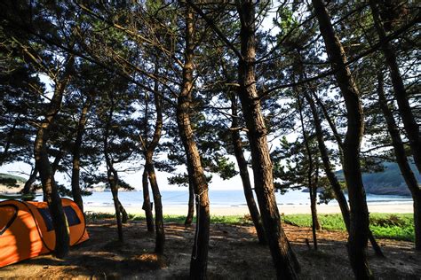 진욱 아주작은사진전시회 여름의채색 바닷가의캠핑 사슴섬 굴업도 내마음에너를담아 개정판 출판기념 다시 가야 할 섬이다 이튿날 담은 사진이 촛점이 다 날라갔다