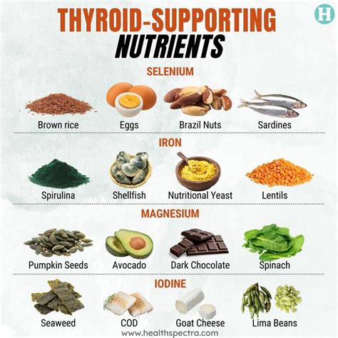 Thyroid Supporting Nutrients Thyroid Healthy Foods Thyroid Healing