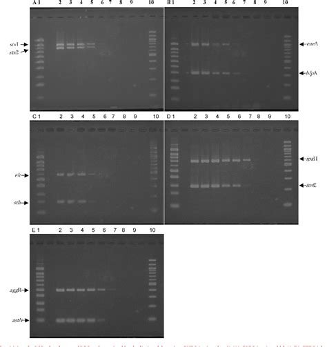 Figure 1 From A One Step Multiplex Pcr Based Assay For Simultaneous