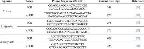 Primer Sequences Used In The Pcr Assays Download Scientific Diagram