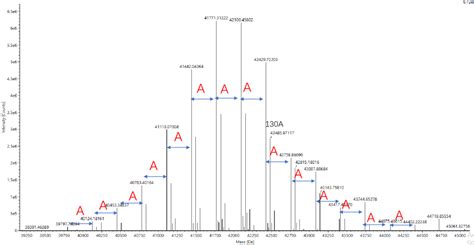 mAb ADC AAV新 DeepKinase 旦白志