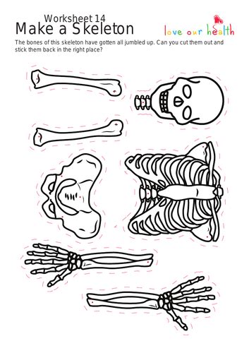Aqa 9 1 Gcse Pe The Skeletal System [the Bones] Teaching Resources