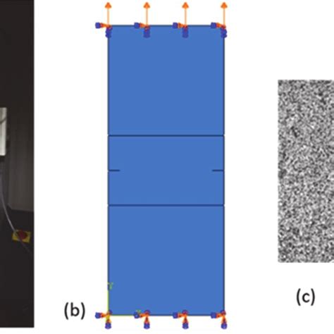 Experimental Setup A Schematized Testing Conditions B And Speckle