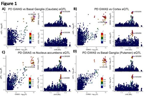 Genetic Dissection Of The Ctsb Locus In Parkinsons Disease Risk Locus