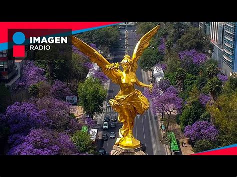 Cifras De Homicidios En Cdmx Desde López Obrador Hasta Sheinbaum