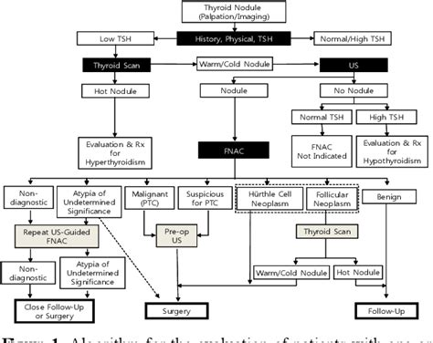 Figure 1 From Updated Guidelines For The Management Of Thyroid Nodule
