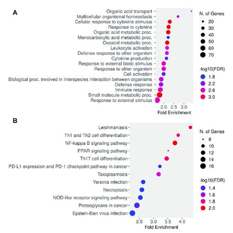 Dotplot Of A Gene Ontology Go Biological Processes And B Kyoto Download Scientific