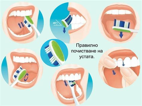 Ppt Зъбите Powerpoint Presentation Free Download Id 6614316