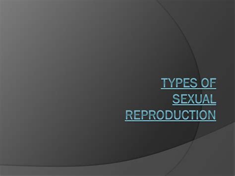 PPT Understanding Human Reproduction A Comprehensive Guide PowerPoint Presentation ID 2029720