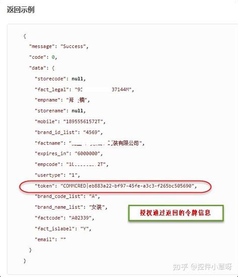 Winform应用界面开发实战 如何在混合框架中整合外部api接口调用 知乎