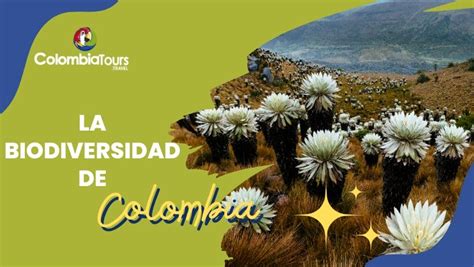 La Biodiversidad De Colombia En El Escenario Global De La Cop16