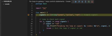 For Loop In Golang A Complete Guide Scalent