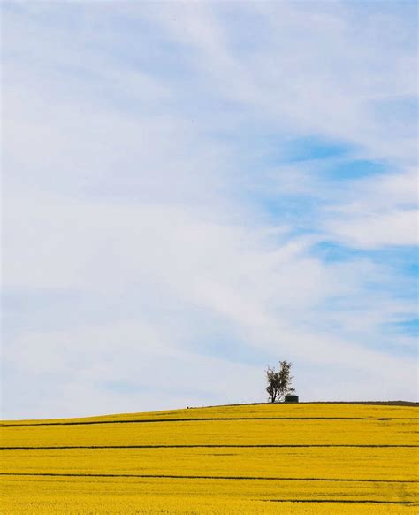 Jumbled Jumbled Added A New Photo — In Orange Nsw