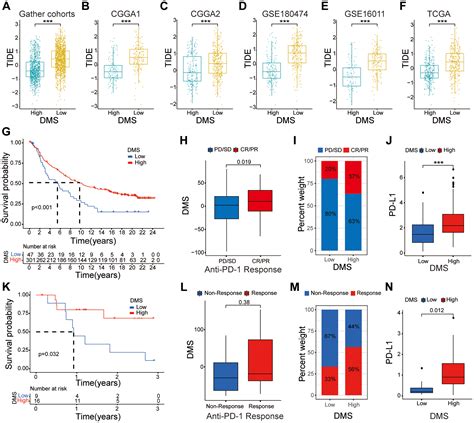 Dna Methylation Regulator Mediated Modification Patterns And Tumor