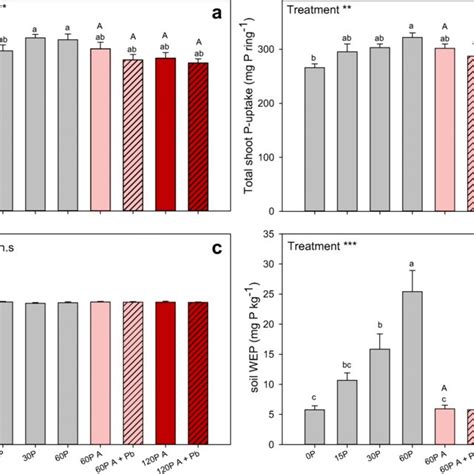 Plant Shoot Biomass A And Total Shoot P Uptake B Of Spring Barley