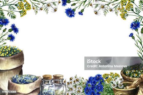 약초 수레 국화 카모마일 탠시 프레임 배너 말린 것 린넨 가방 유리 병 및 나무 냄비에 짓 눌린 것 박격포와 유봉 분쇄기 수채화