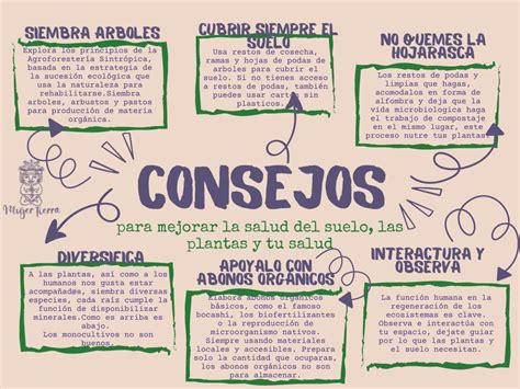 Fca Uabjo Oaxaca De Juárez