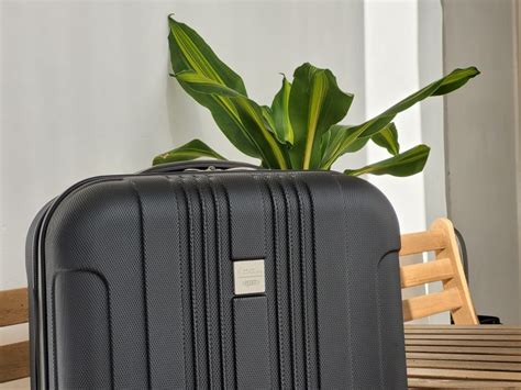 Andrey Levitin Poskryakov On Linkedin A Perfect T Needs A Bit Of Sheer Luck I Got A